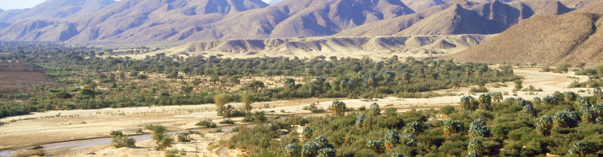 Kaokoland | The Namibia Safari | Accommodation, 4x4 Car Hire, Tours ...